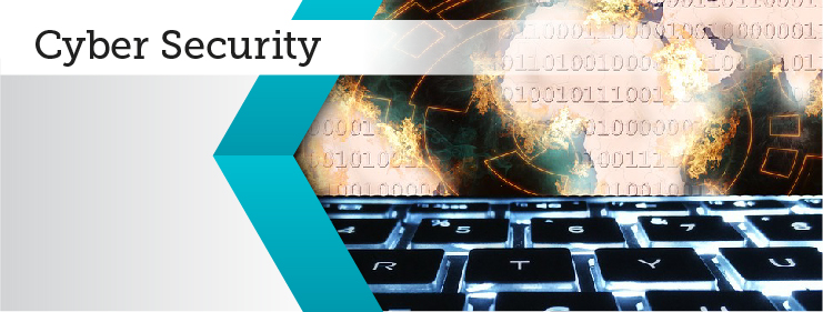 Global Cyber Bi-Weekly Report | INSS