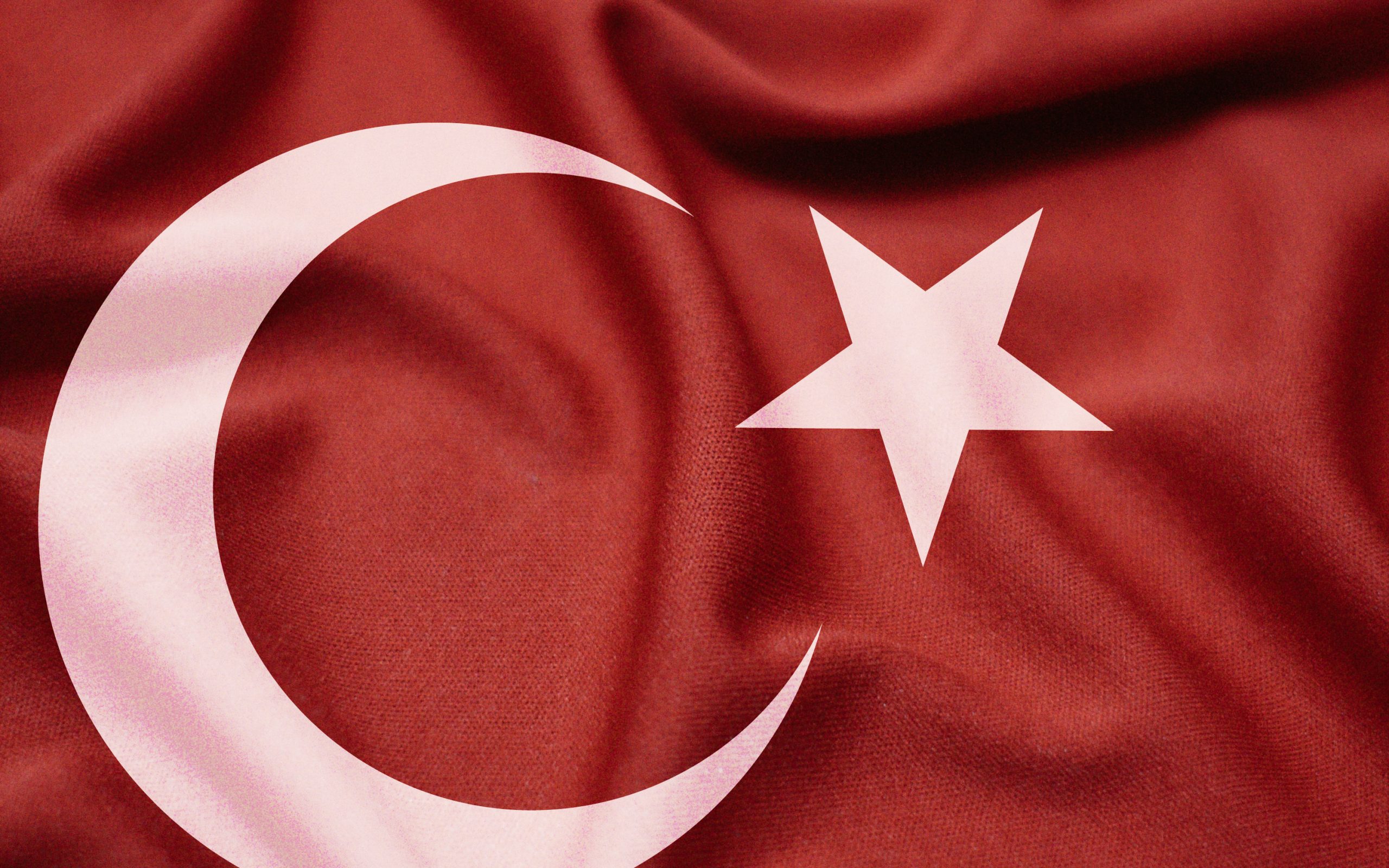 A Reset? Turkish Foreign Policy in a Changing World | INSS