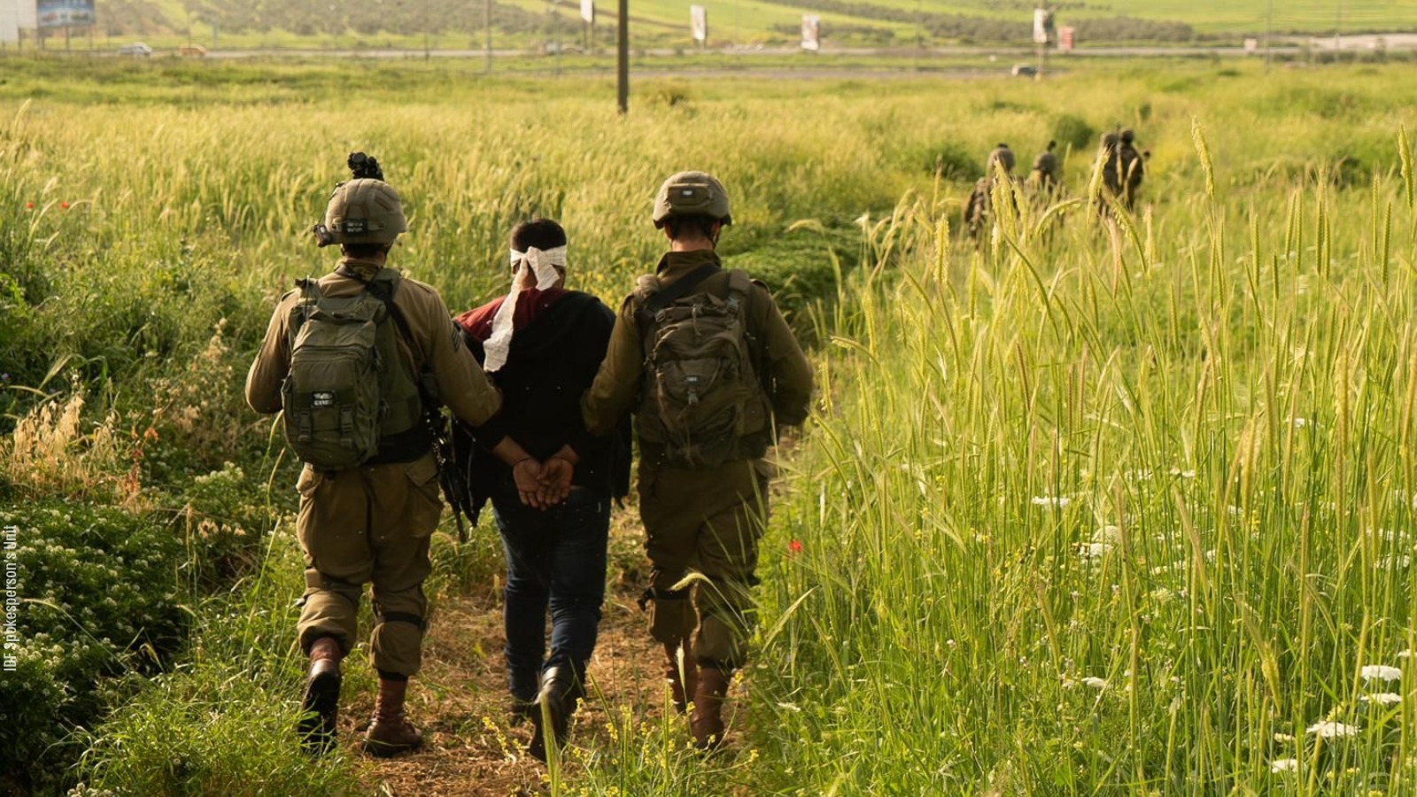 Uncovering a Terrorist Cell of Israeli Arab Citizens—Meanings and ...