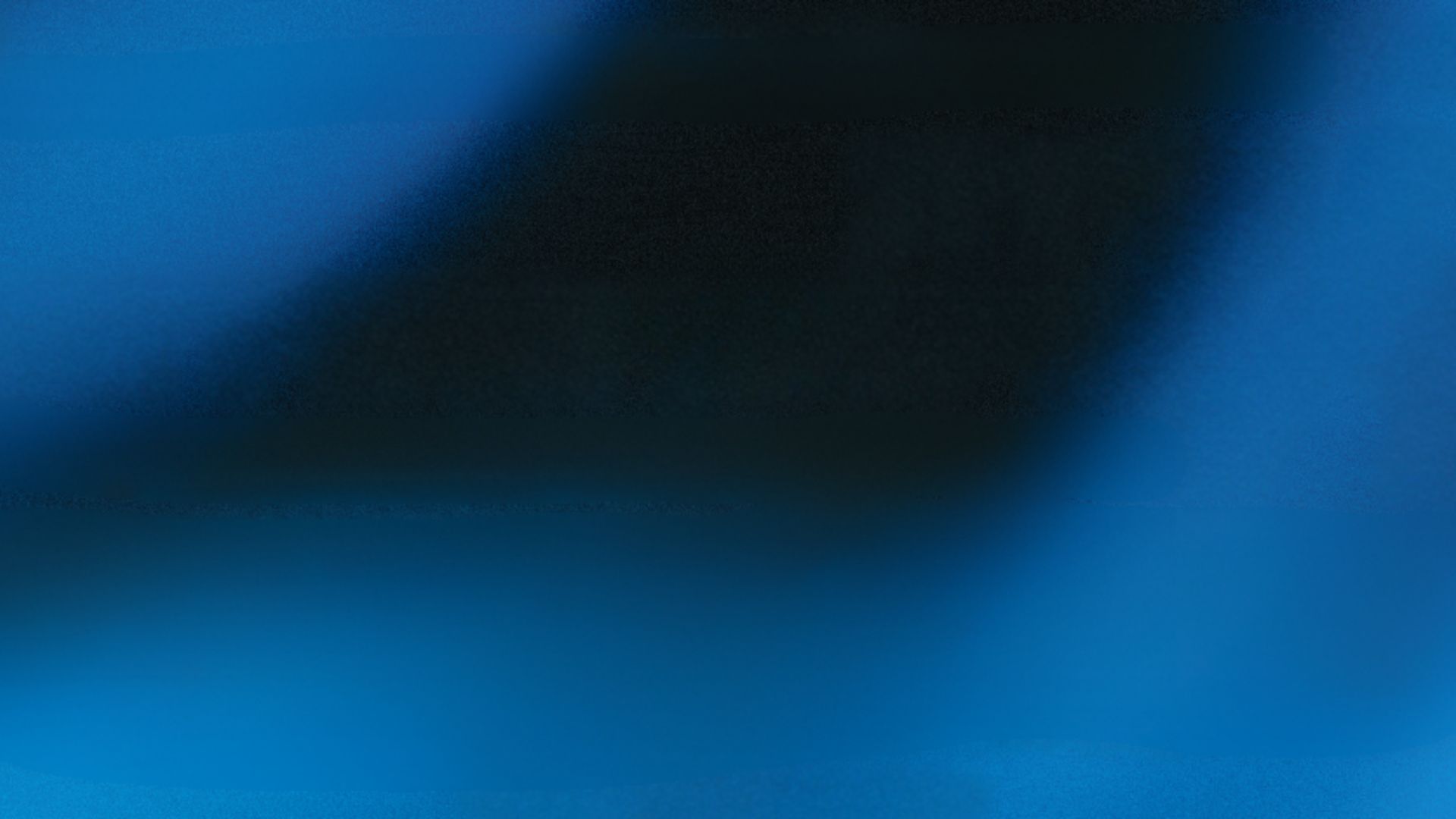 IDF Conscription Conference | INSS